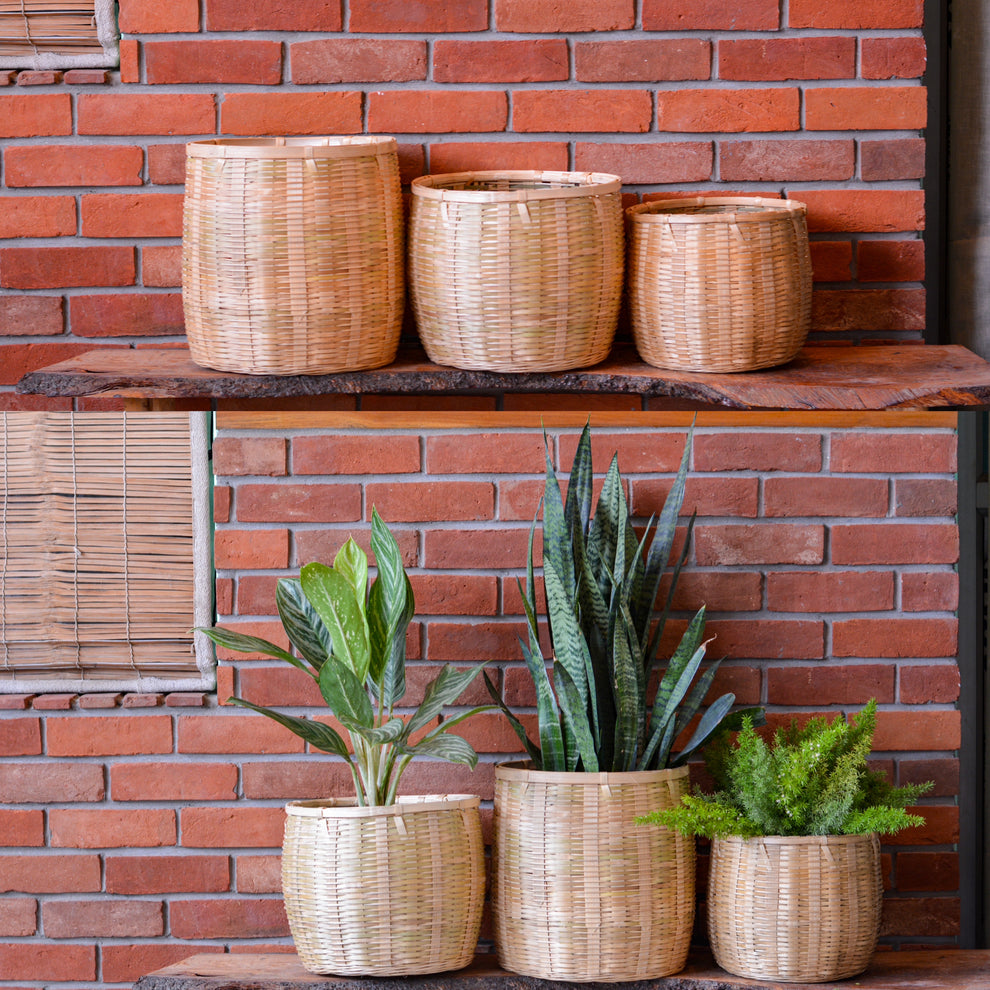 Indoor & Outdoor Bamboo Planter Basket (Combo Pack of 3) – CreateYourTaste