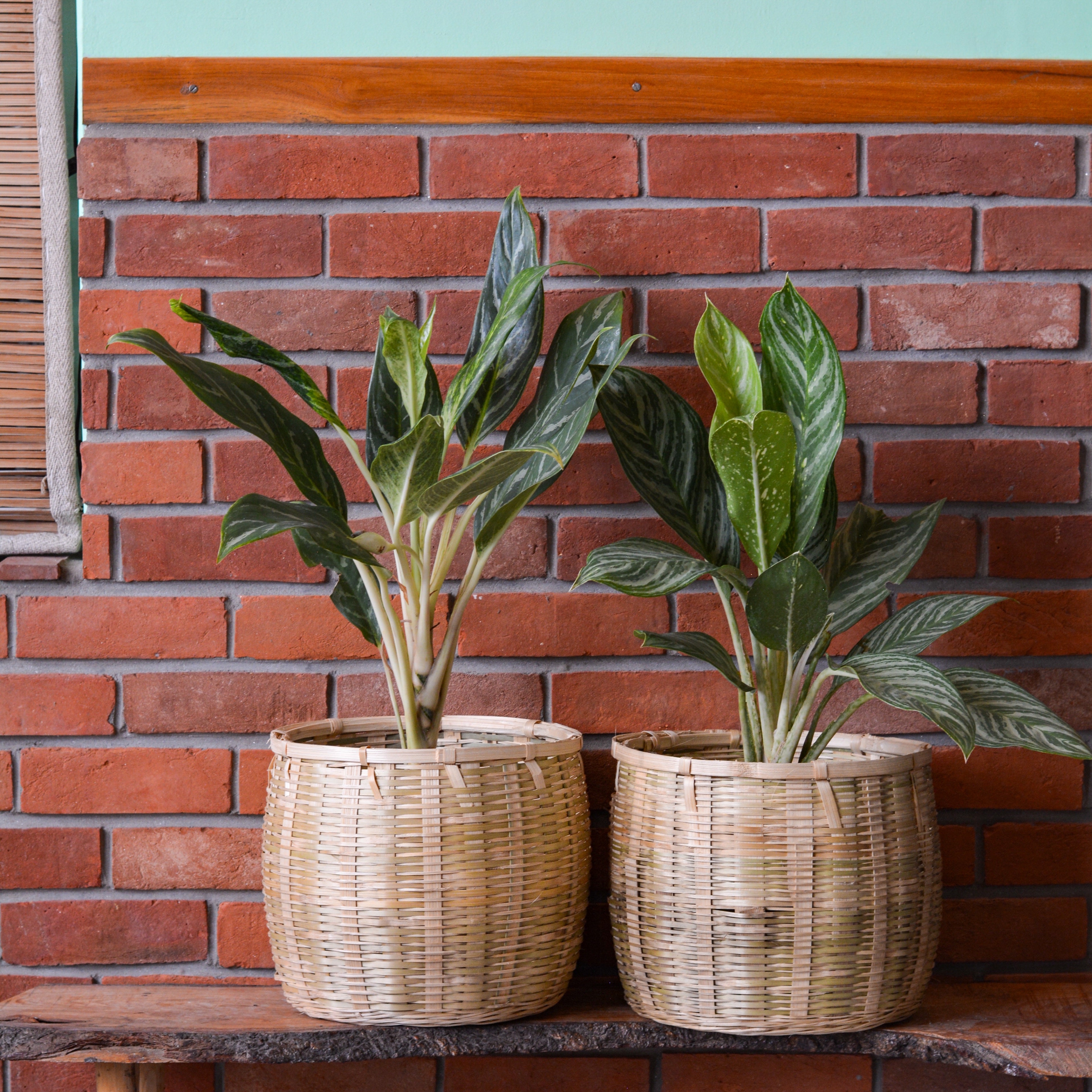 Medium Bamboo Planter Basket for Indoor & Outdoor Use (Pack of 2 ...